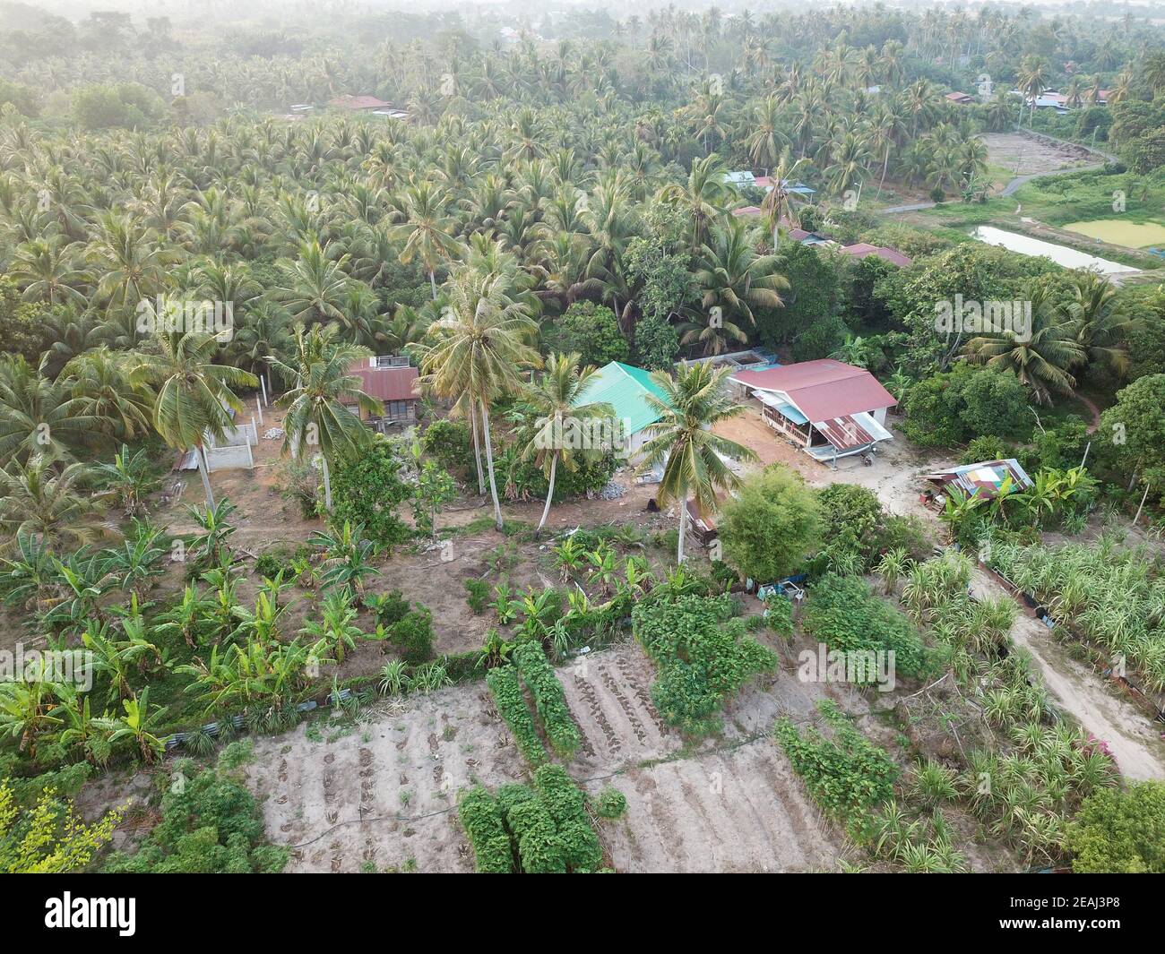 Traditional malaysian house hi-res stock photography and images - Alamy