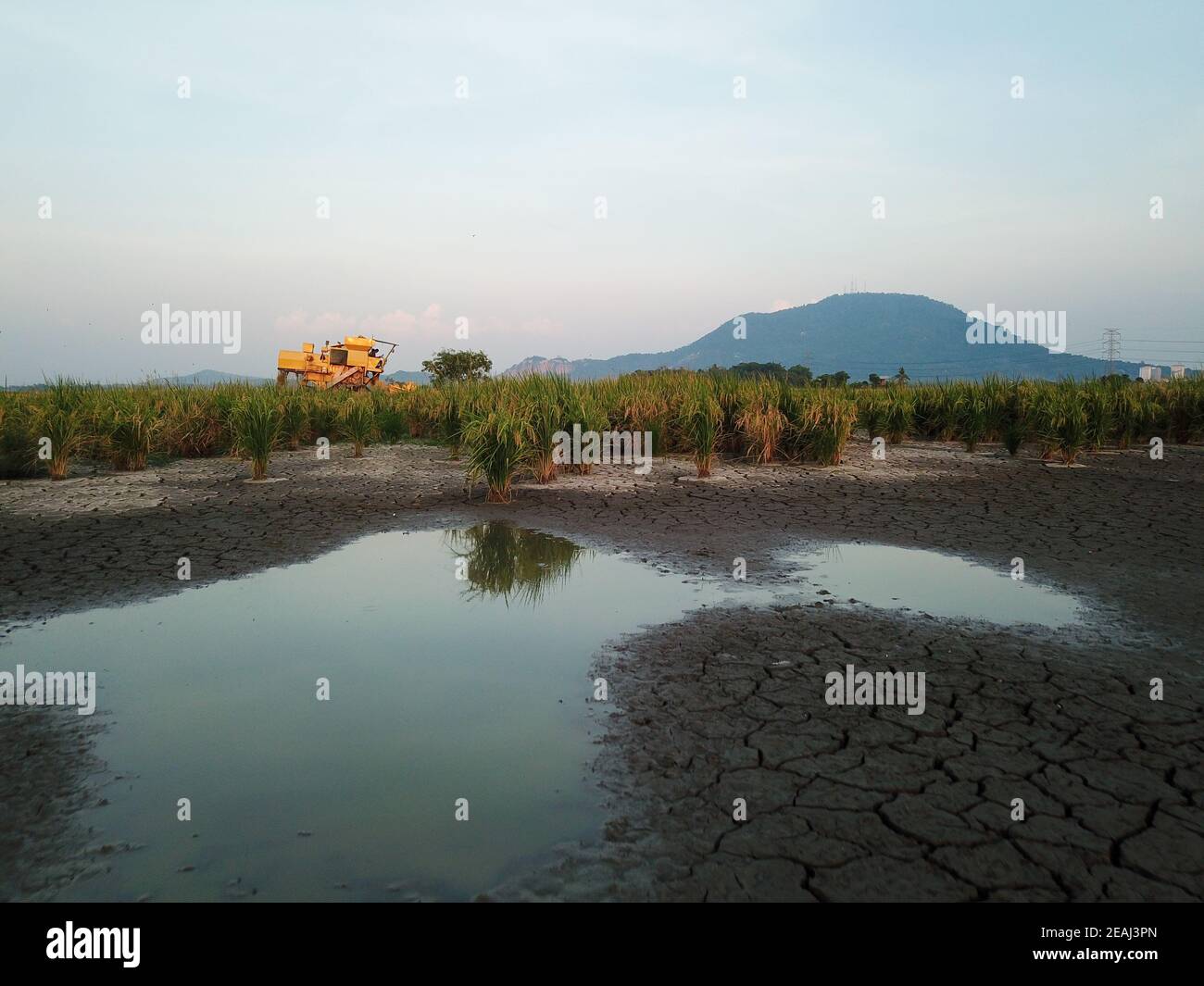 Land crack hi-res stock photography and images - Alamy