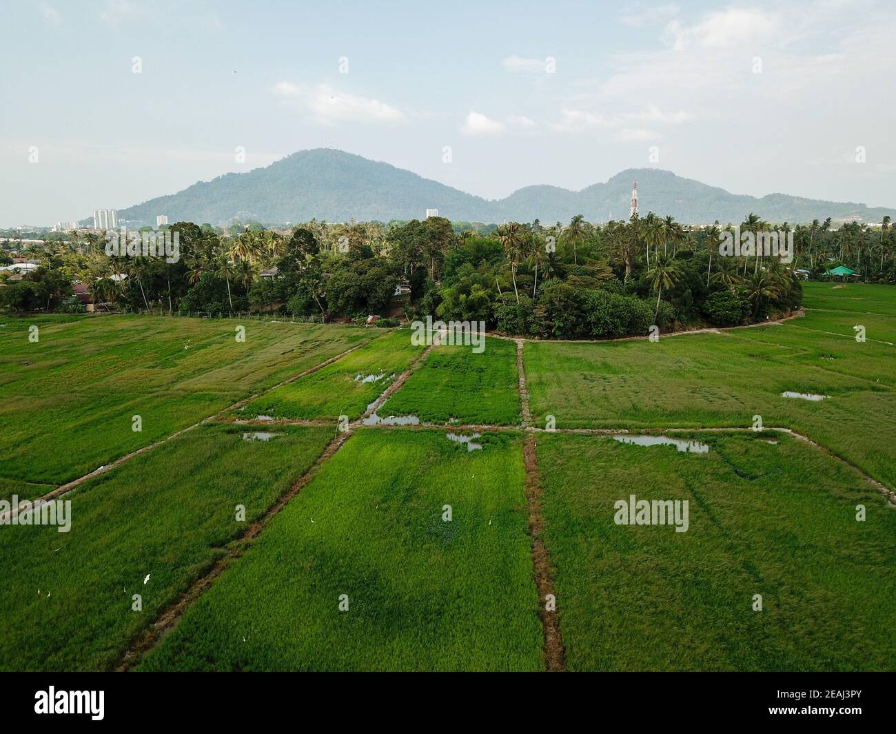 Aerial view green scenery Stock Photo - Alamy