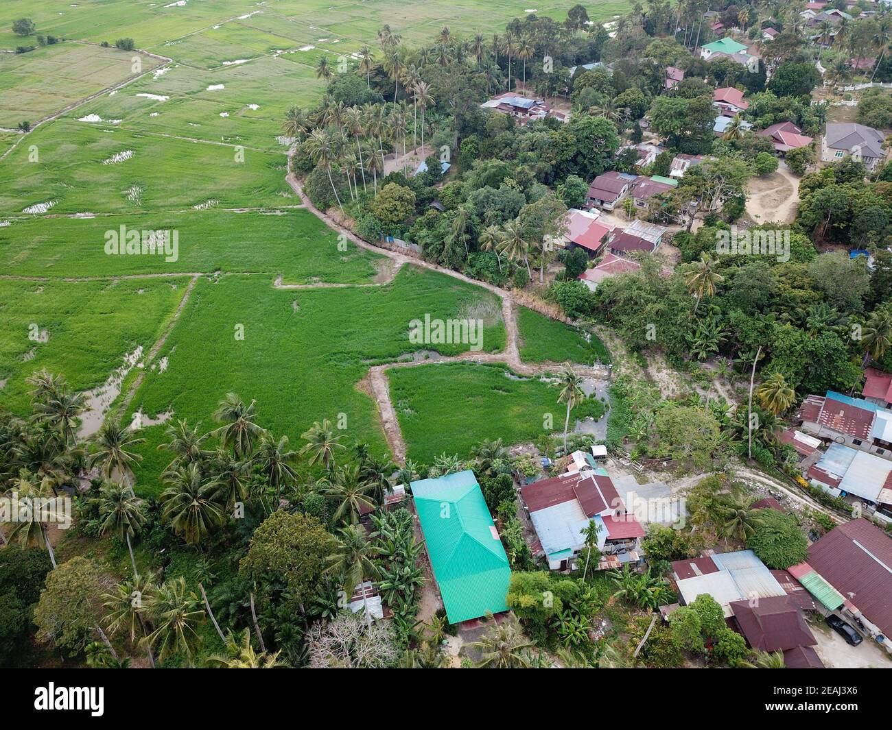 Malay kampung hi-res stock photography and images - Alamy