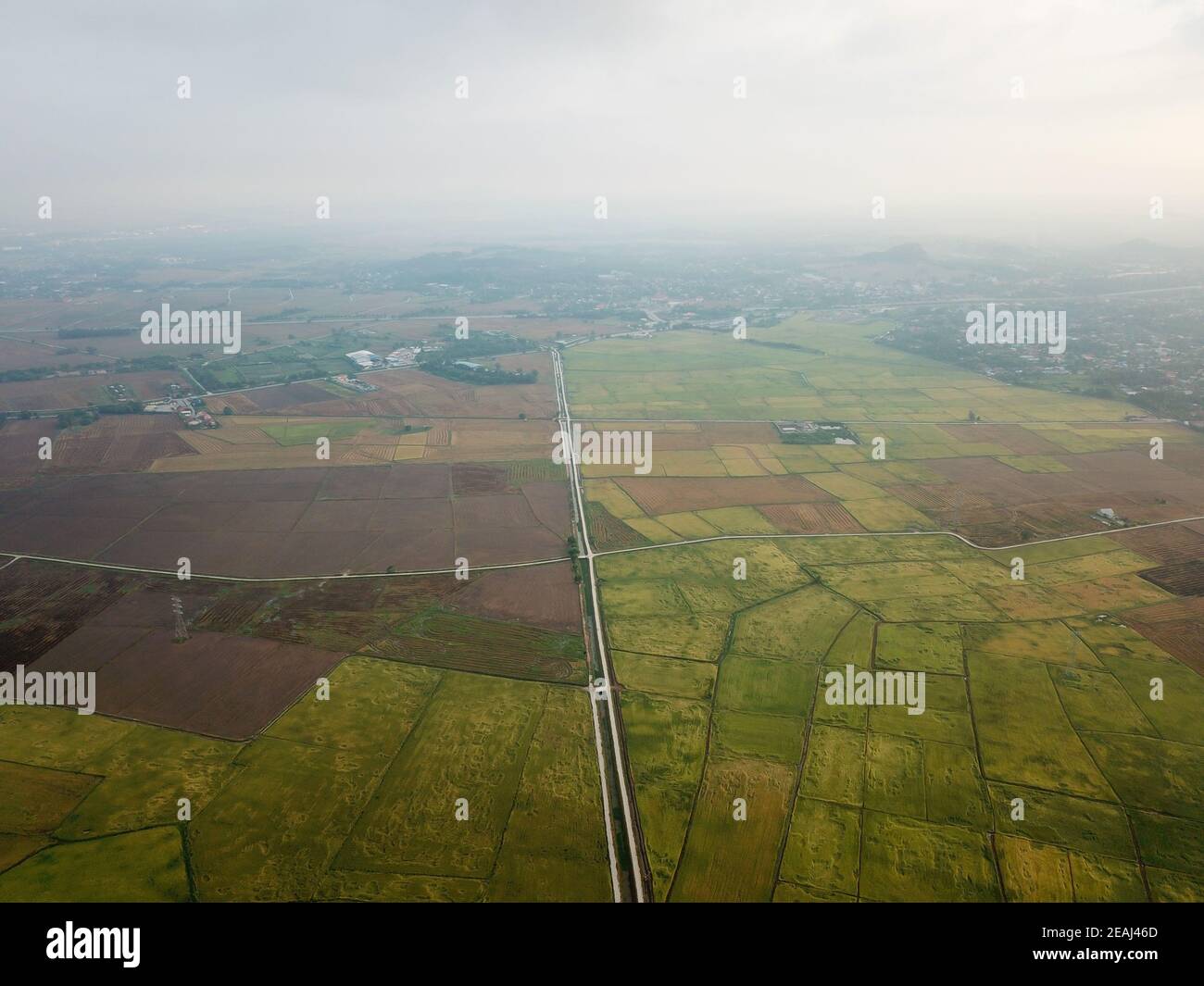 Aerial view paddy field in mist Stock Photo - Alamy
