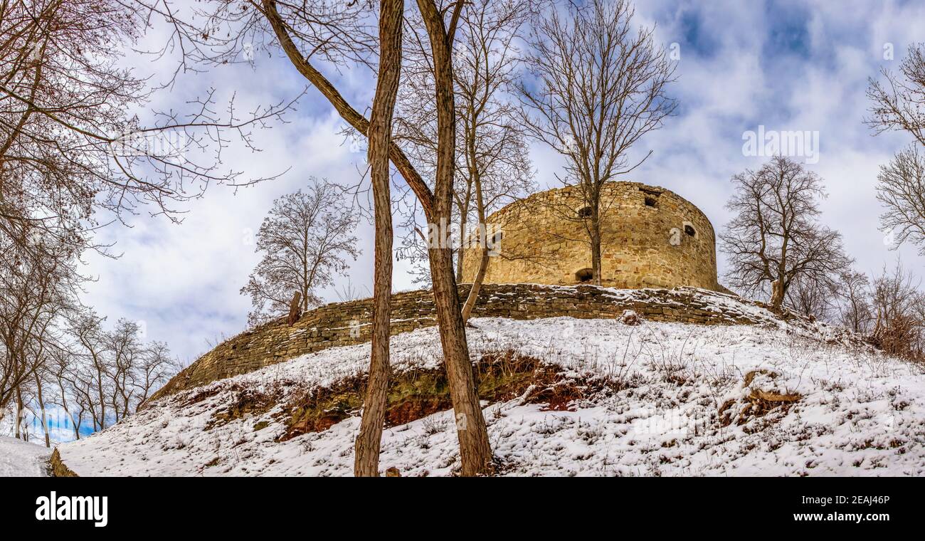 Terebovlia hi-res stock photography and images - Alamy