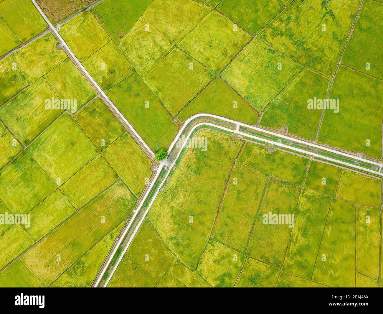 Aerial panorama green rice hi-res stock photography and images - Alamy