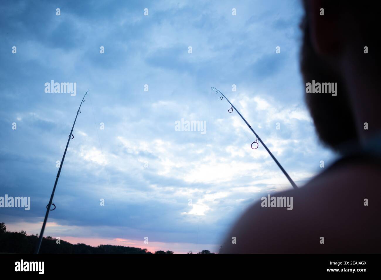 Carp fishing rig hi-res stock photography and images - Alamy