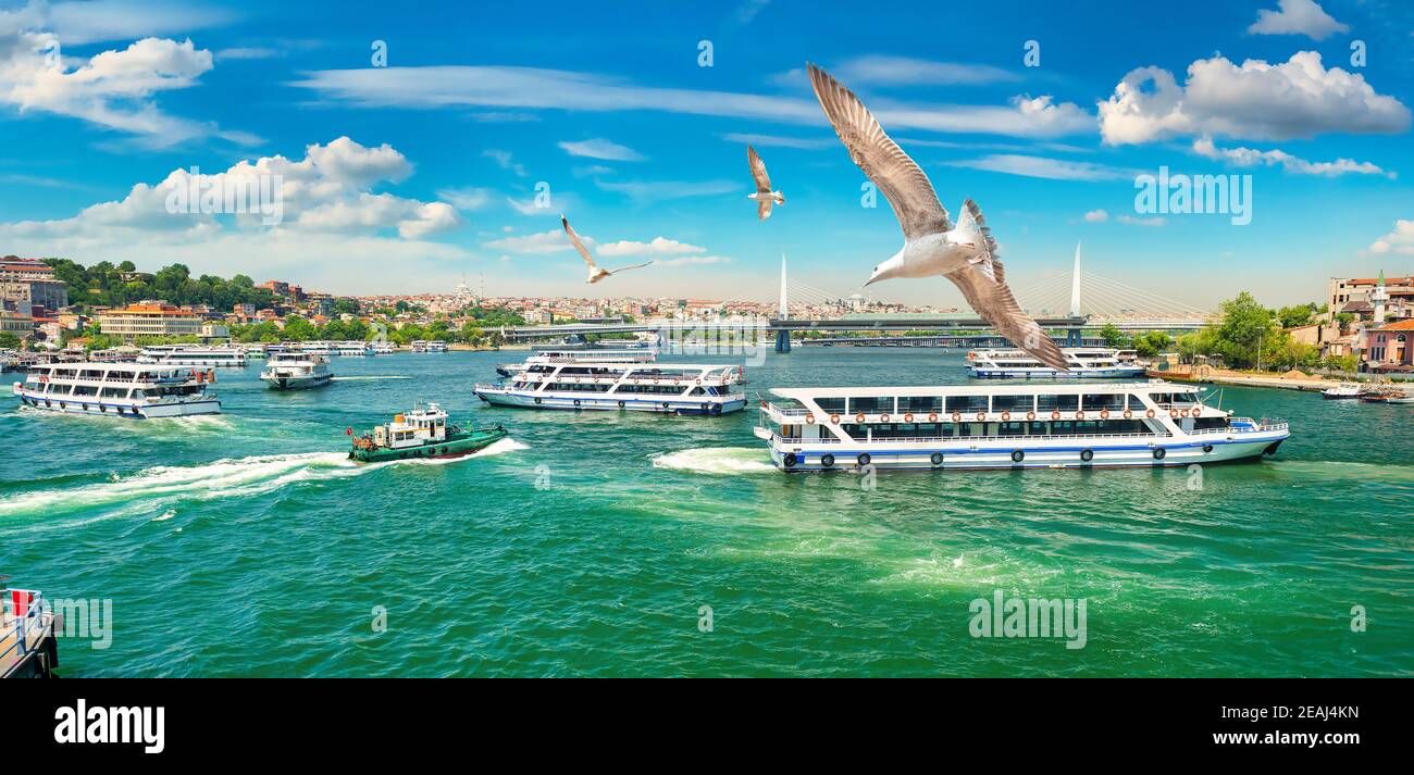 Cruise ship in the golden horn hi-res stock photography and images - Alamy