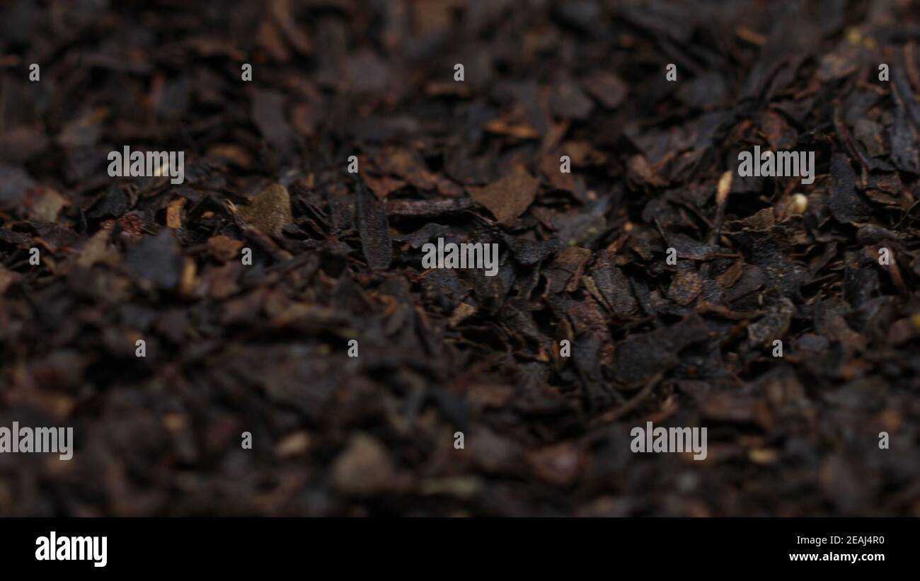a bunch of black tea. close-up. High quality photo Stock Photo - Alamy