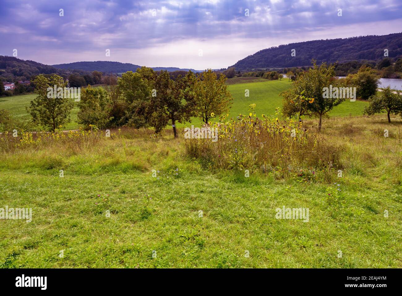 Idyll landscape hi-res stock photography and images - Alamy