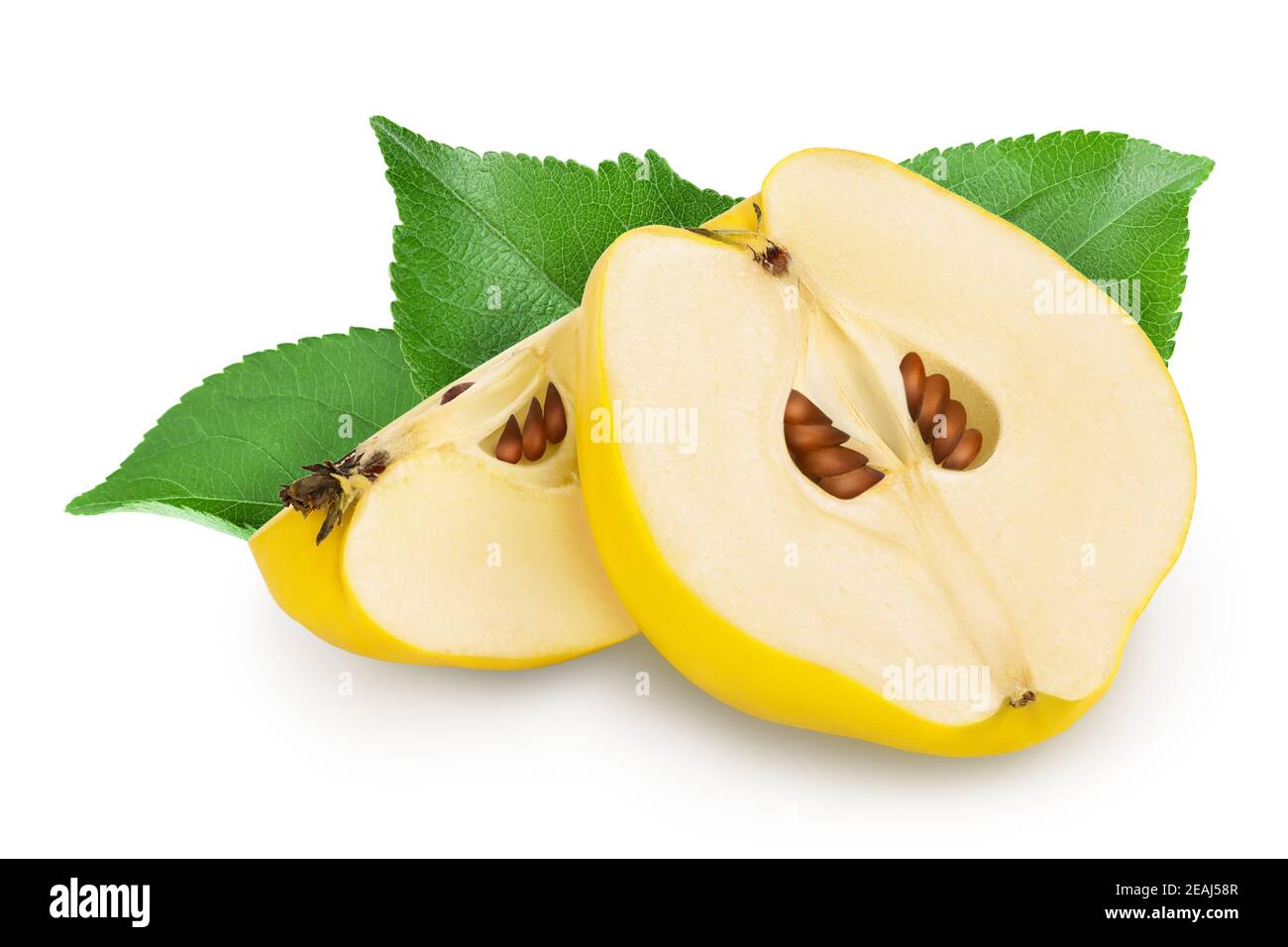 Fresh cut quince isolated on the white background with clipping path ...