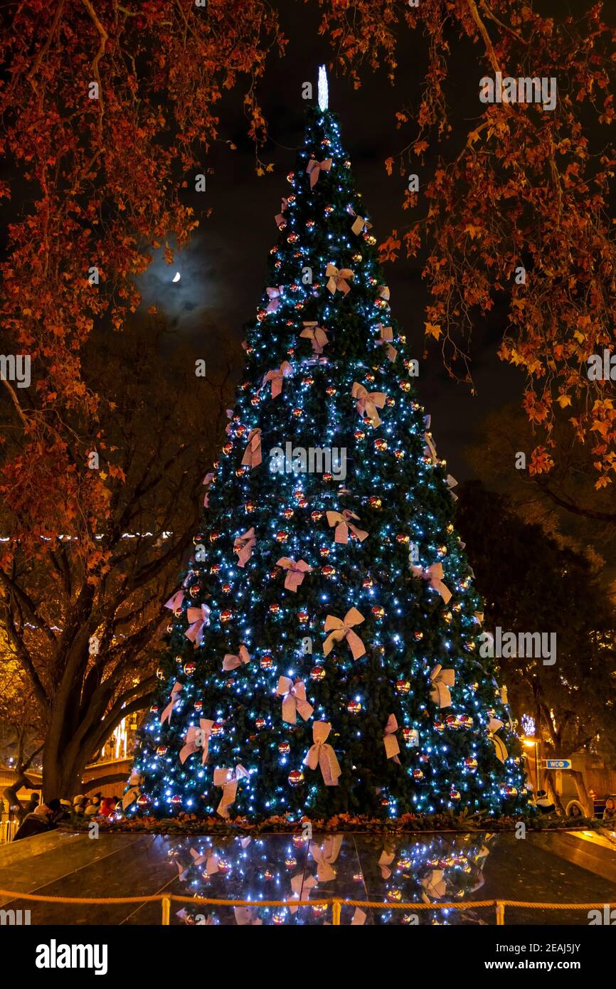 Christmas tree in vienna hi-res stock photography and images - Alamy