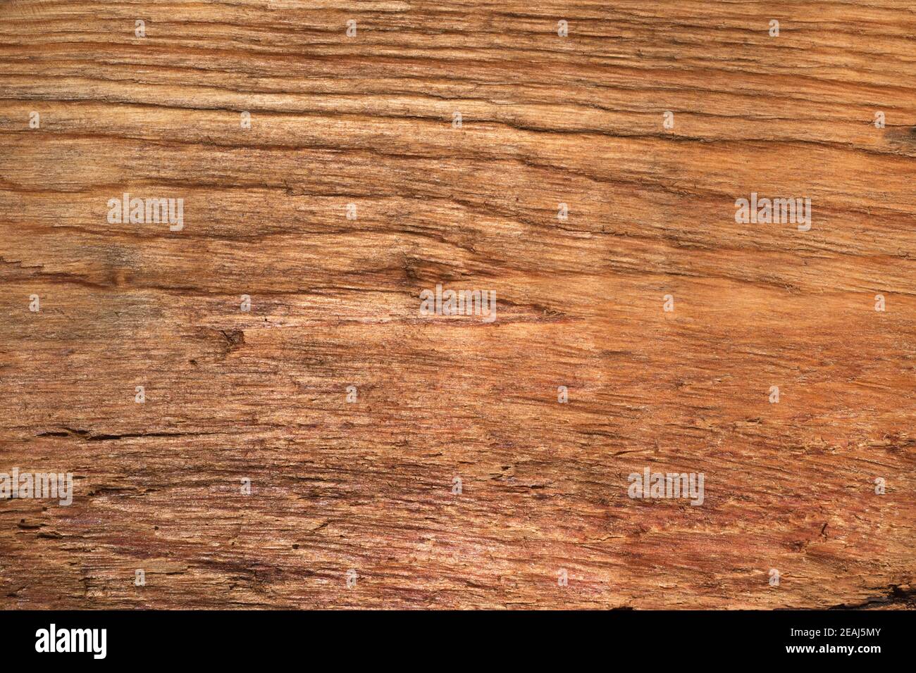 Weathered spitted wood texture with cracks. Texture Stock Photo - Alamy