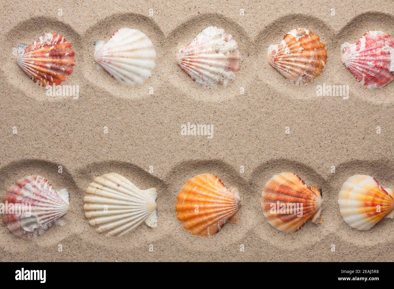 Sand and sea shells hi-res stock photography and images - Alamy