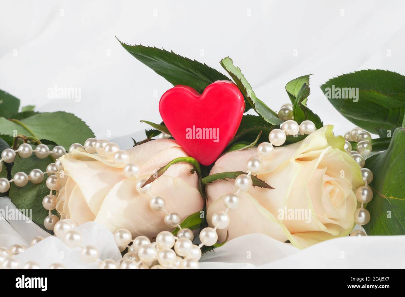 Beautiful pink rose heart hi-res stock photography and images - Alamy
