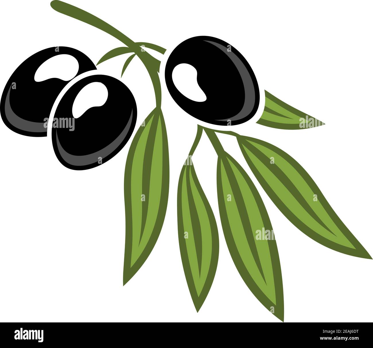 Three black olives on a leafy green twig for vegetarian food concept ...
