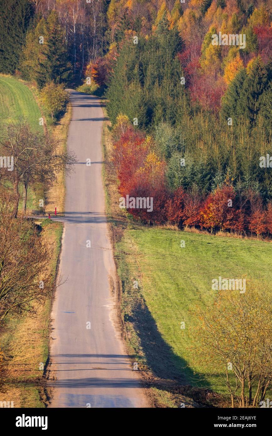 Vivid fall colors hi-res stock photography and images - Alamy