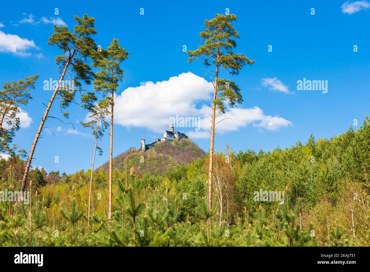 Bezdez castle in Central Bohemia, Czech Republic Stock Photo - Alamy
