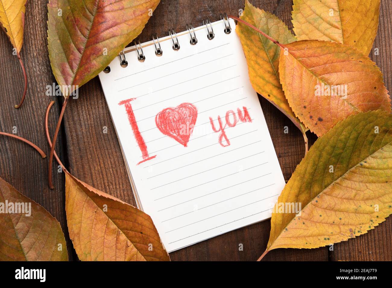 open notebook with white sheets and yellow cherry leaves on brown ...