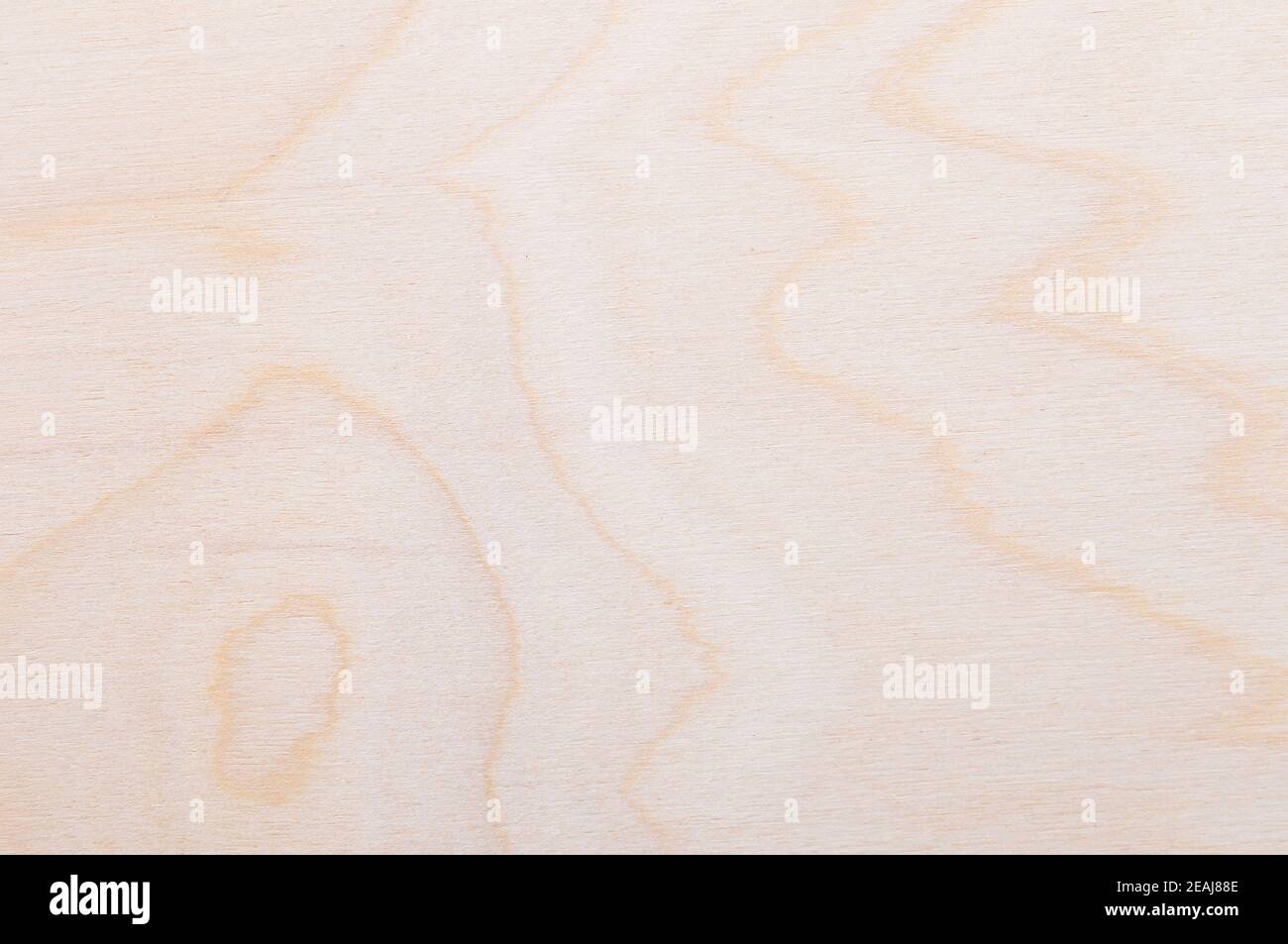 background texture of a freshly cut light wood with curved lines Stock ...