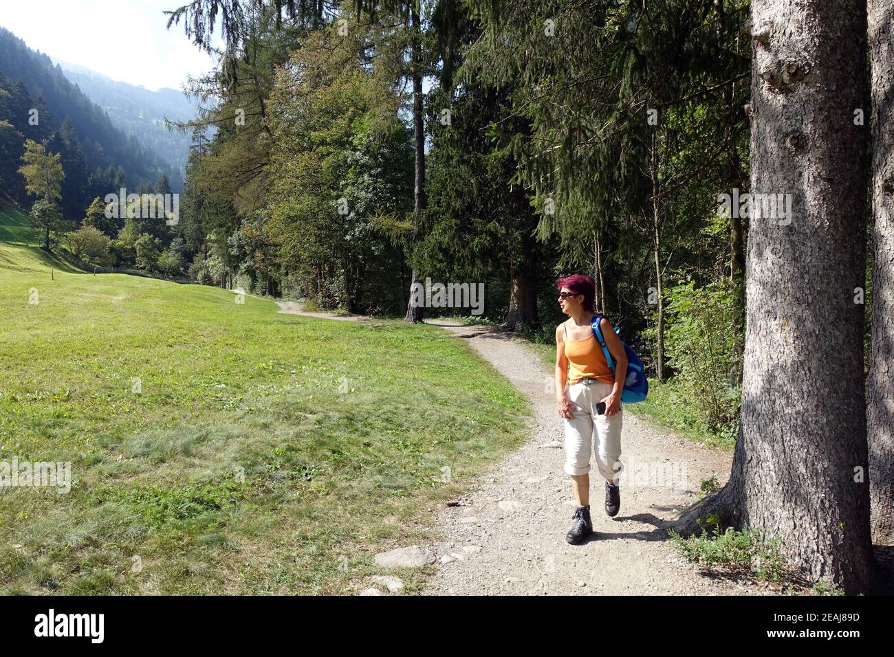 Hiking on the gorge trail Passeier Valley between Moos and St. Leonhard ...