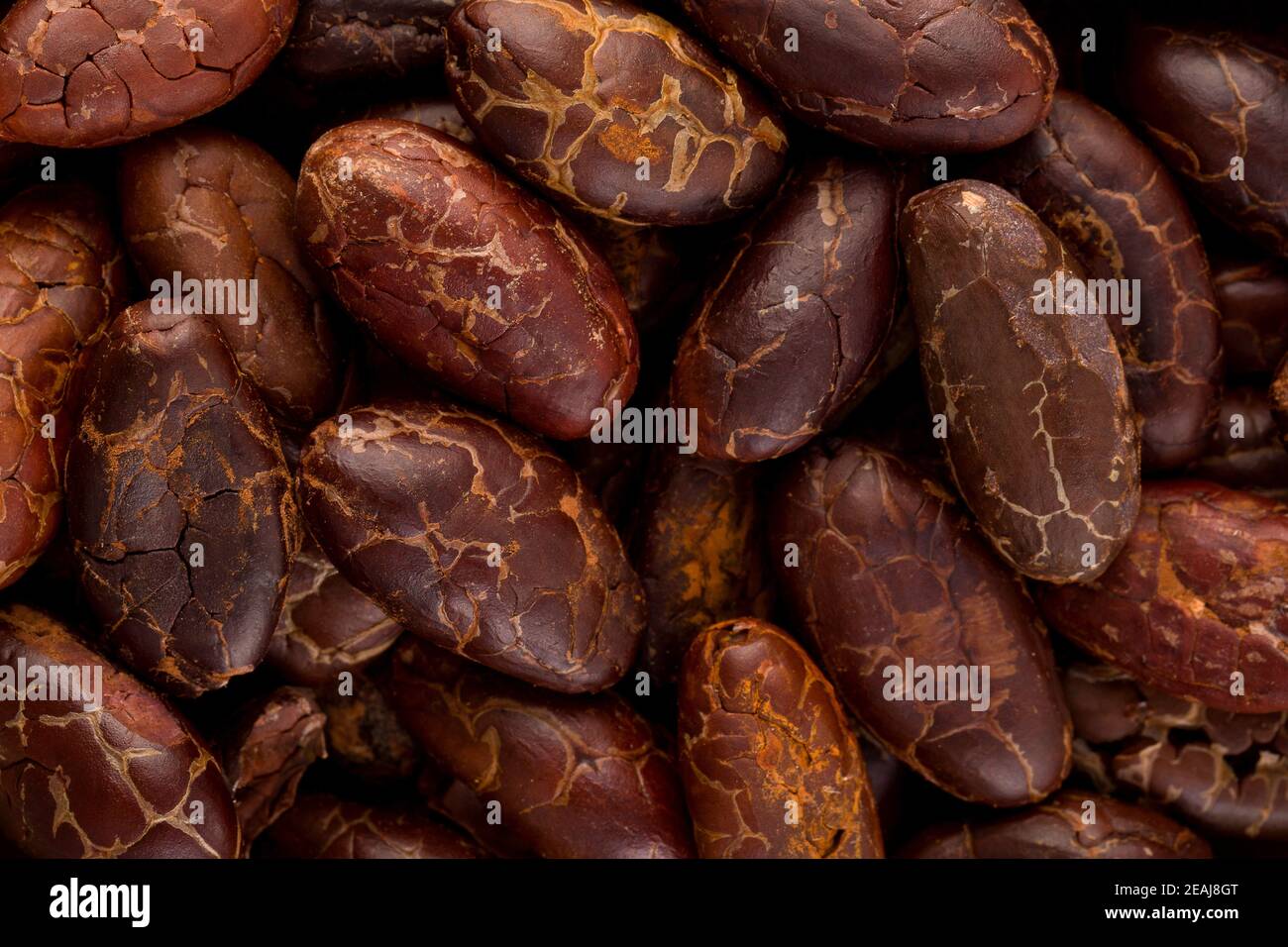Fresh roasted cocoa beans background from above Stock Photo - Alamy