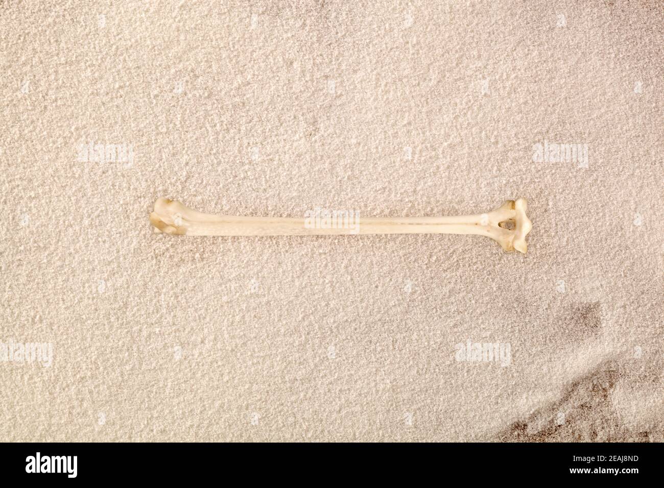 Collagen anti hi-res stock photography and images - Alamy