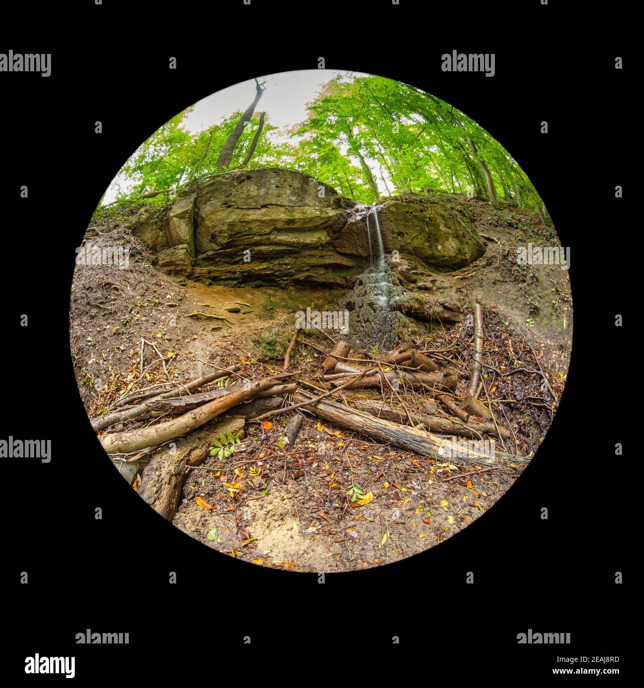 Forest rocks trunks waterfall as fish eye shot Stock Photo - Alamy