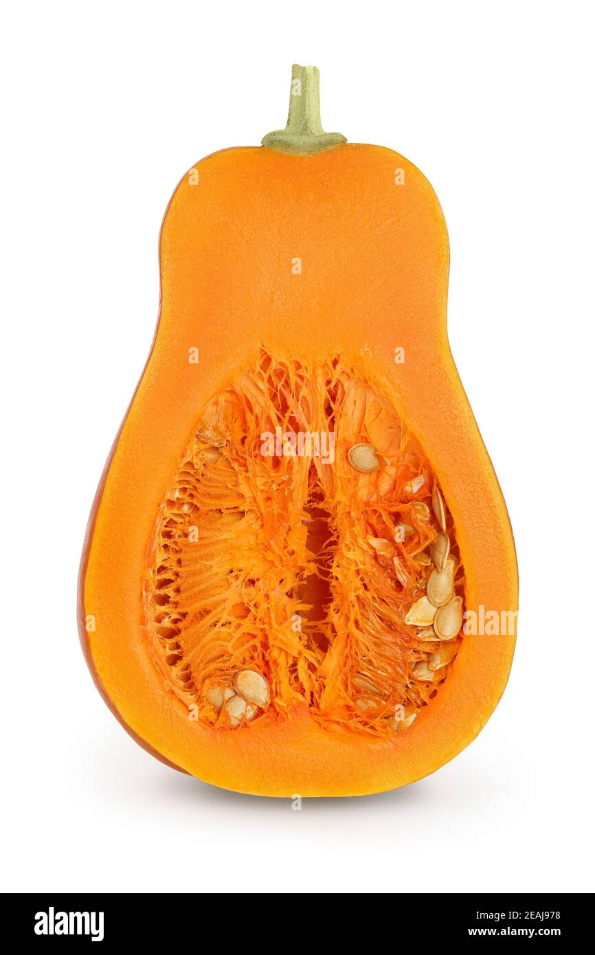 butternut squash half isolated on white background with clipping path ...