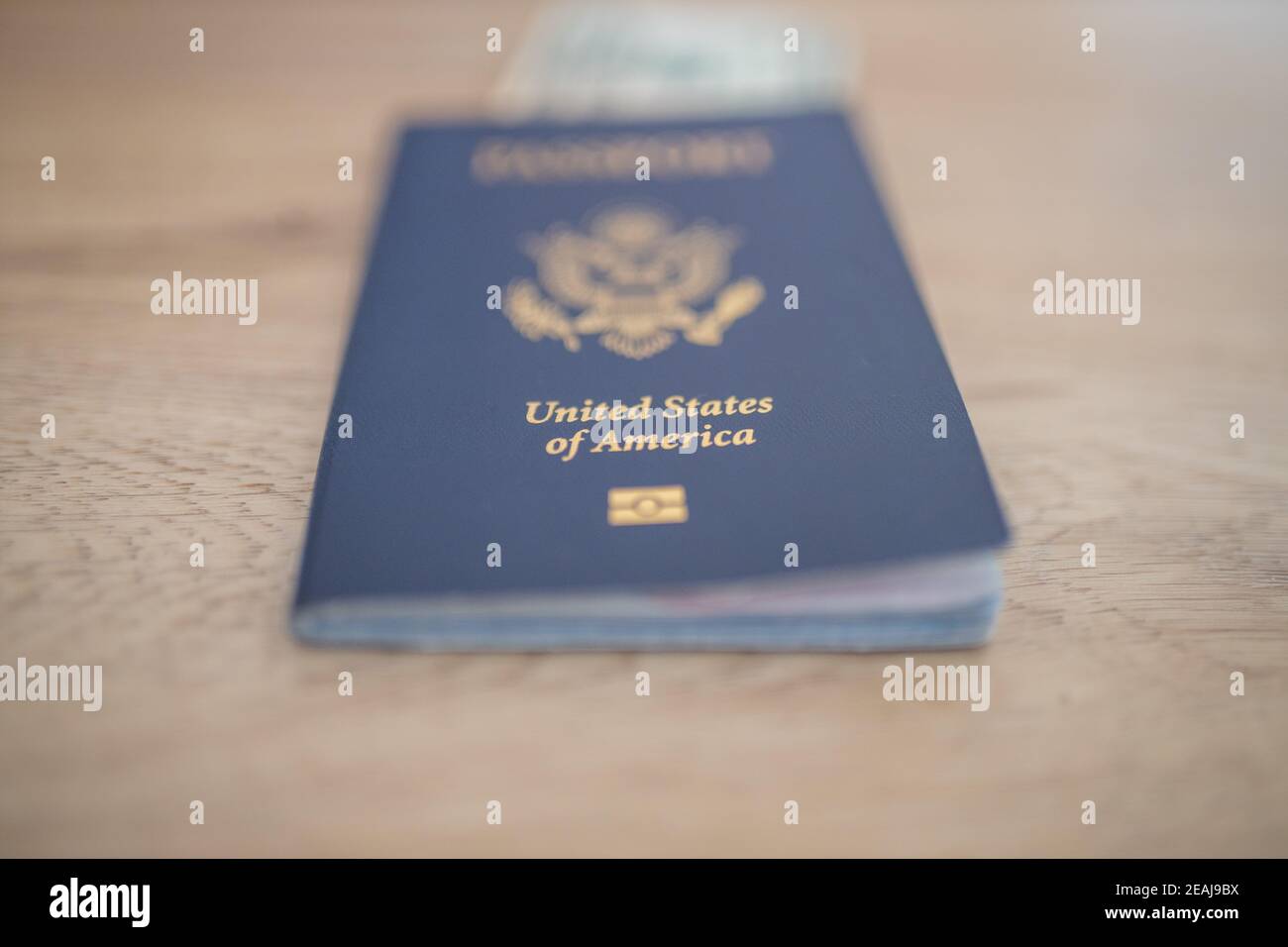 Us Passport Inside