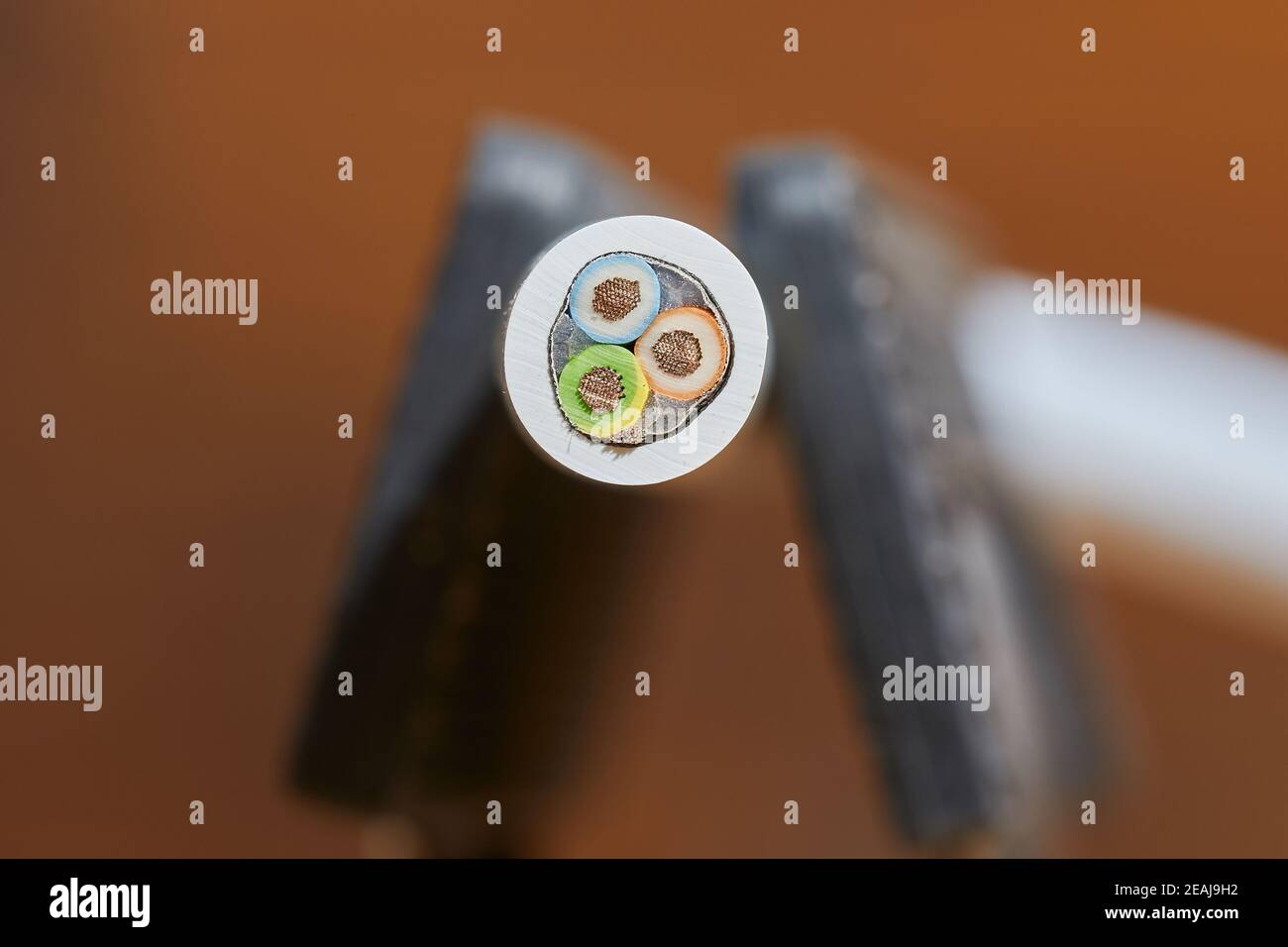 Power Cord Cross Section Stock Photo - Alamy