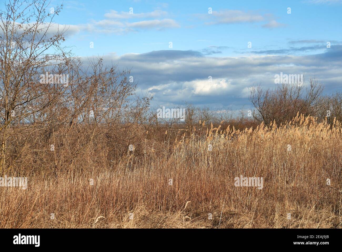 Dry meadow landscape hi-res stock photography and images - Alamy
