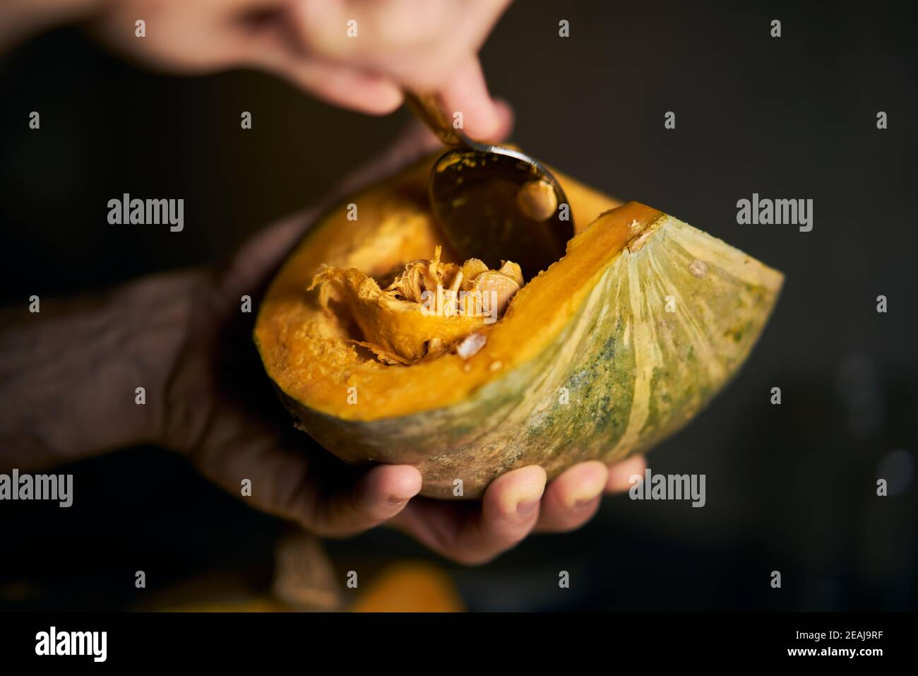 Man's hands remove seeds from a round fresh cut pumpkin with a black ...