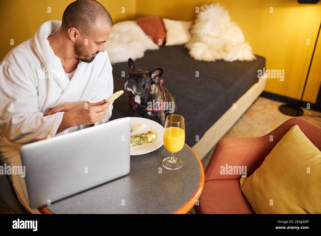 Man treating dog hi-res stock photography and images - Alamy