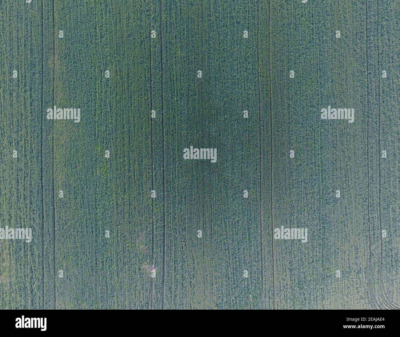 Sustainable agriculture texture hi-res stock photography and images - Alamy