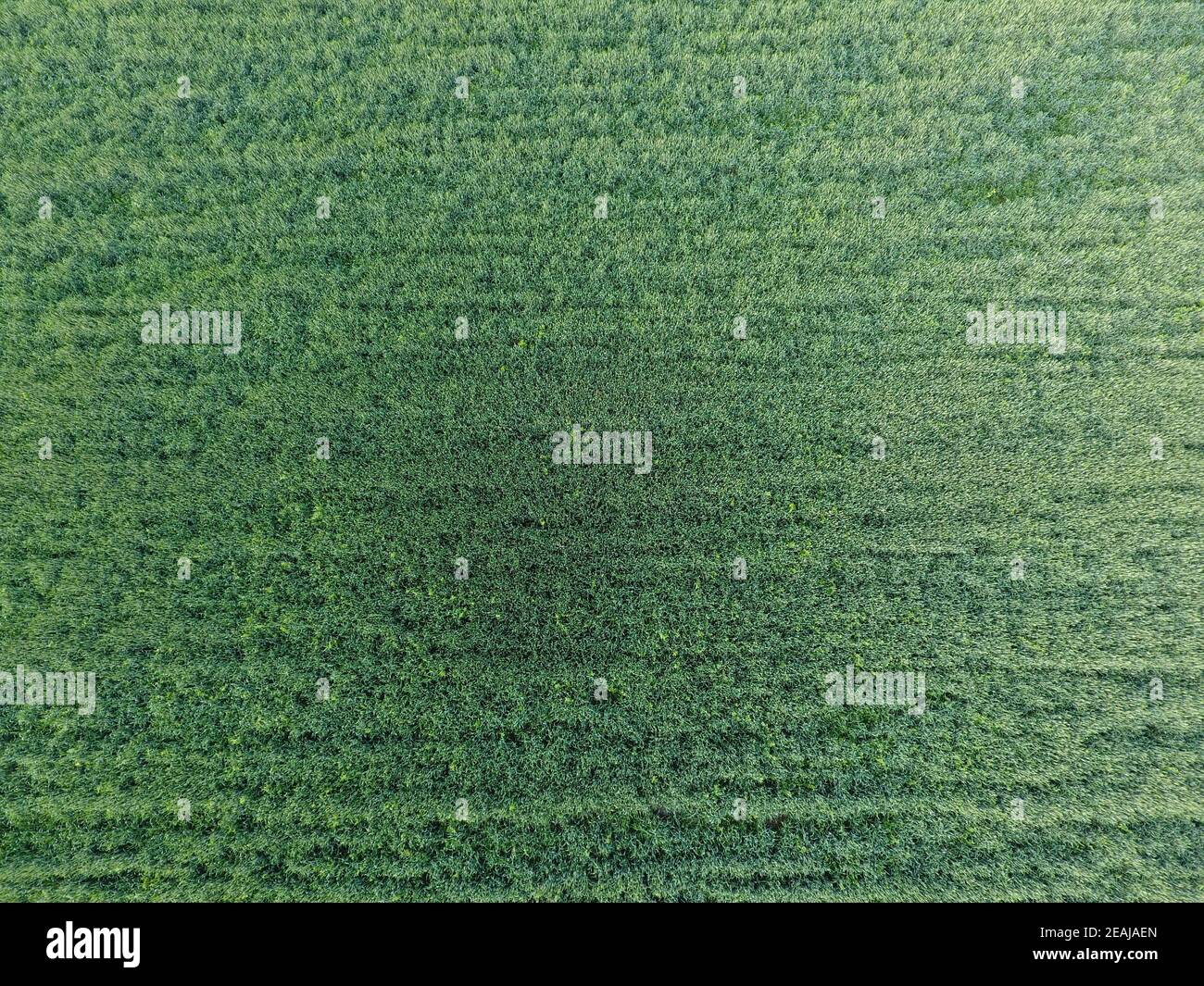 Sustainable Agriculture Texture High Resolution Stock Photography and ...