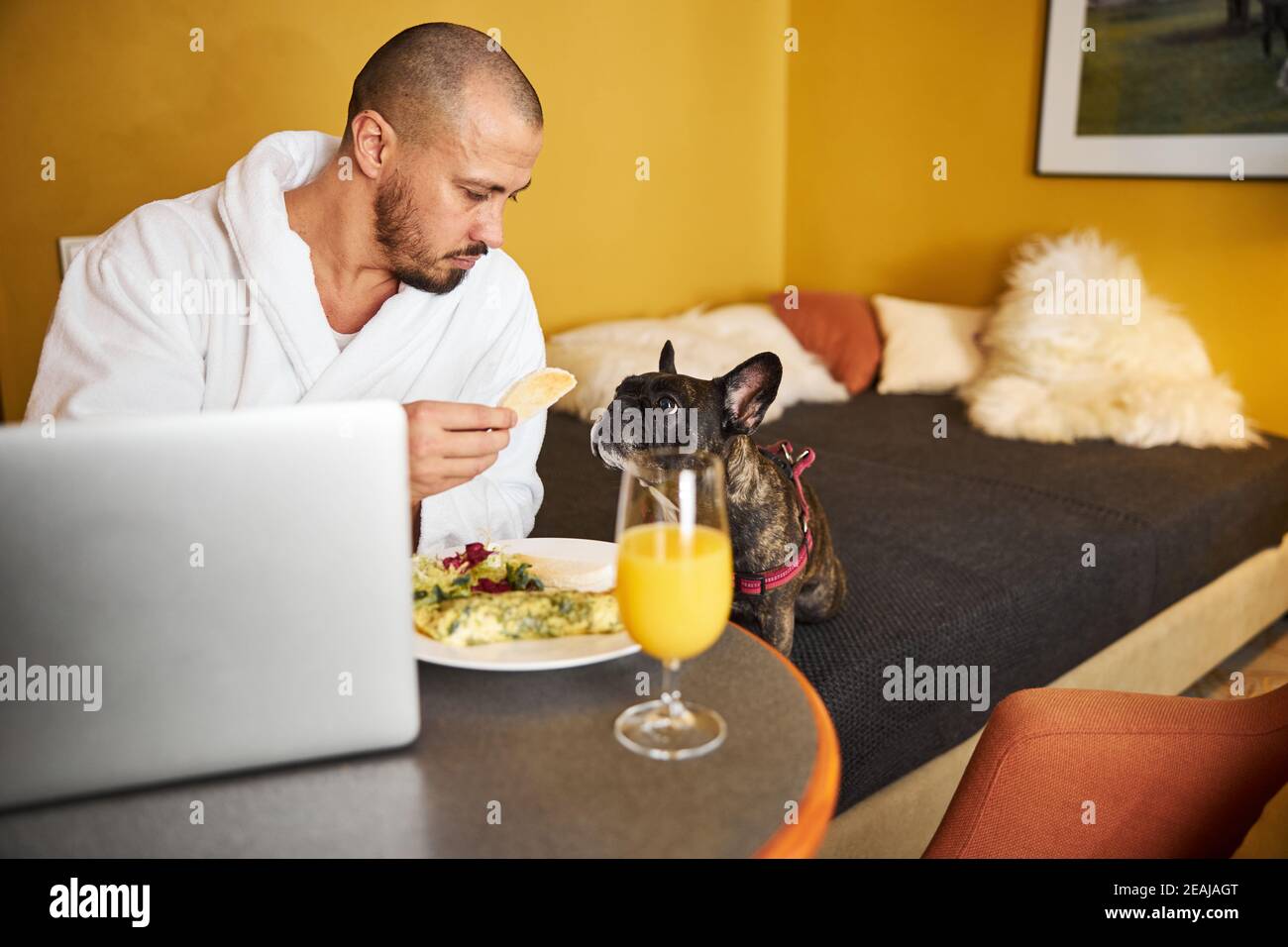Man treating dog hi-res stock photography and images - Alamy