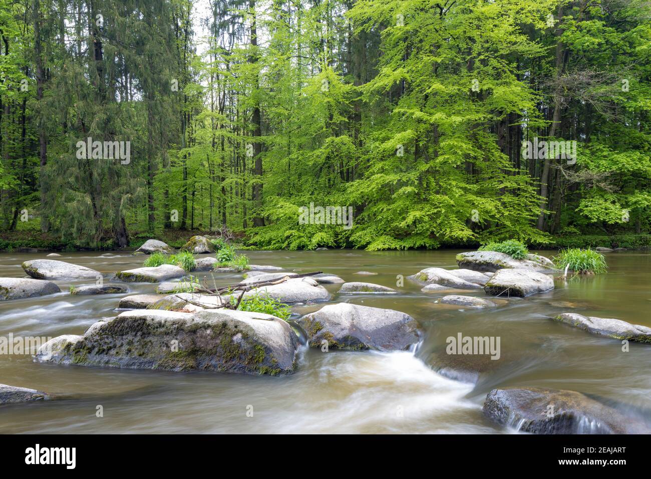 Sazava river hi-res stock photography and images - Alamy