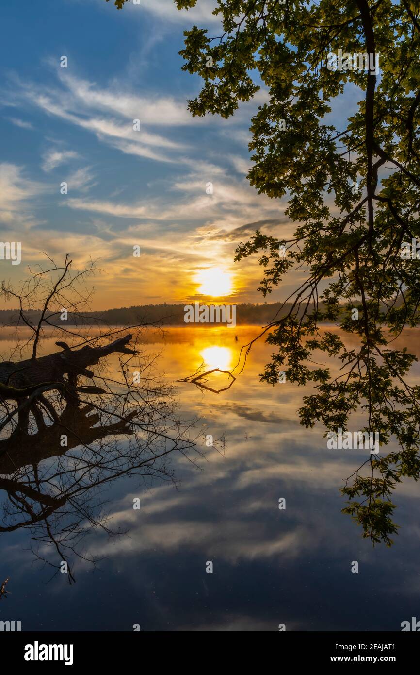 Czech ponds hi-res stock photography and images - Alamy