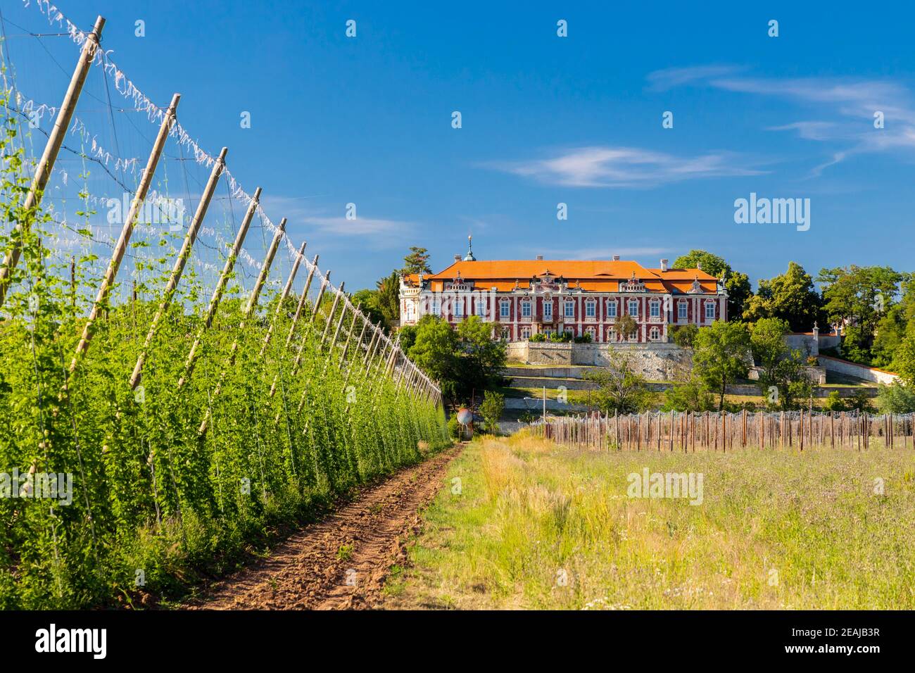 Rococo castle hi-res stock photography and images - Alamy