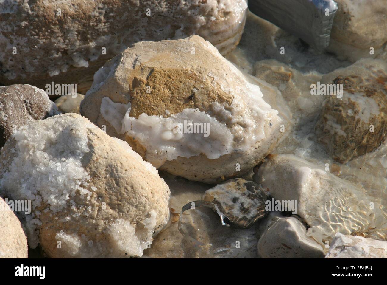 The big crystal of salt of Dead Sea Stock Photo - Alamy
