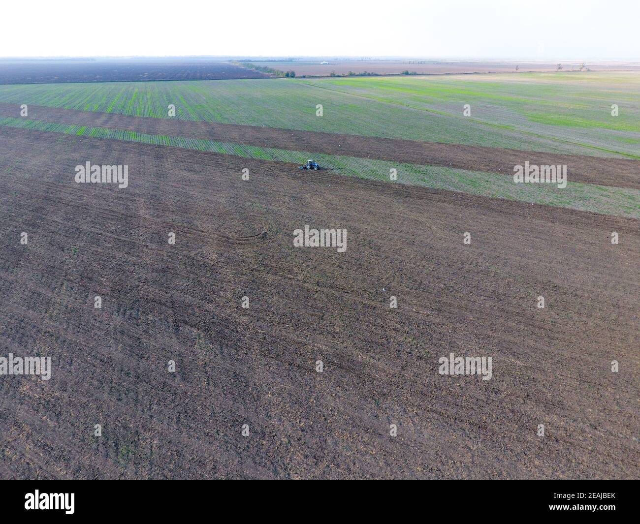 Top view of the tractor that plows the field. disking the soil. Soil ...