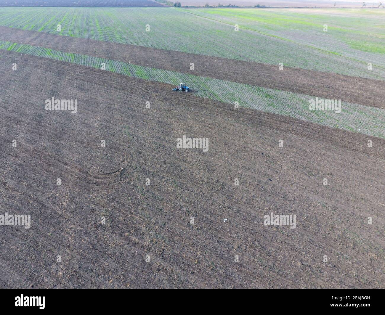 Top view of the tractor that plows the field. disking the soil. Soil ...