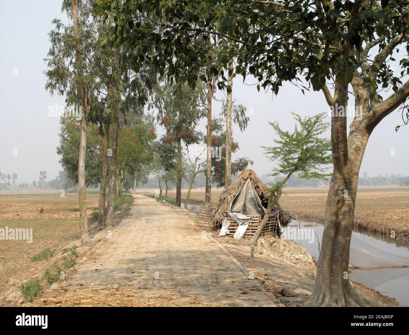 Village life ganga hi-res stock photography and images - Alamy