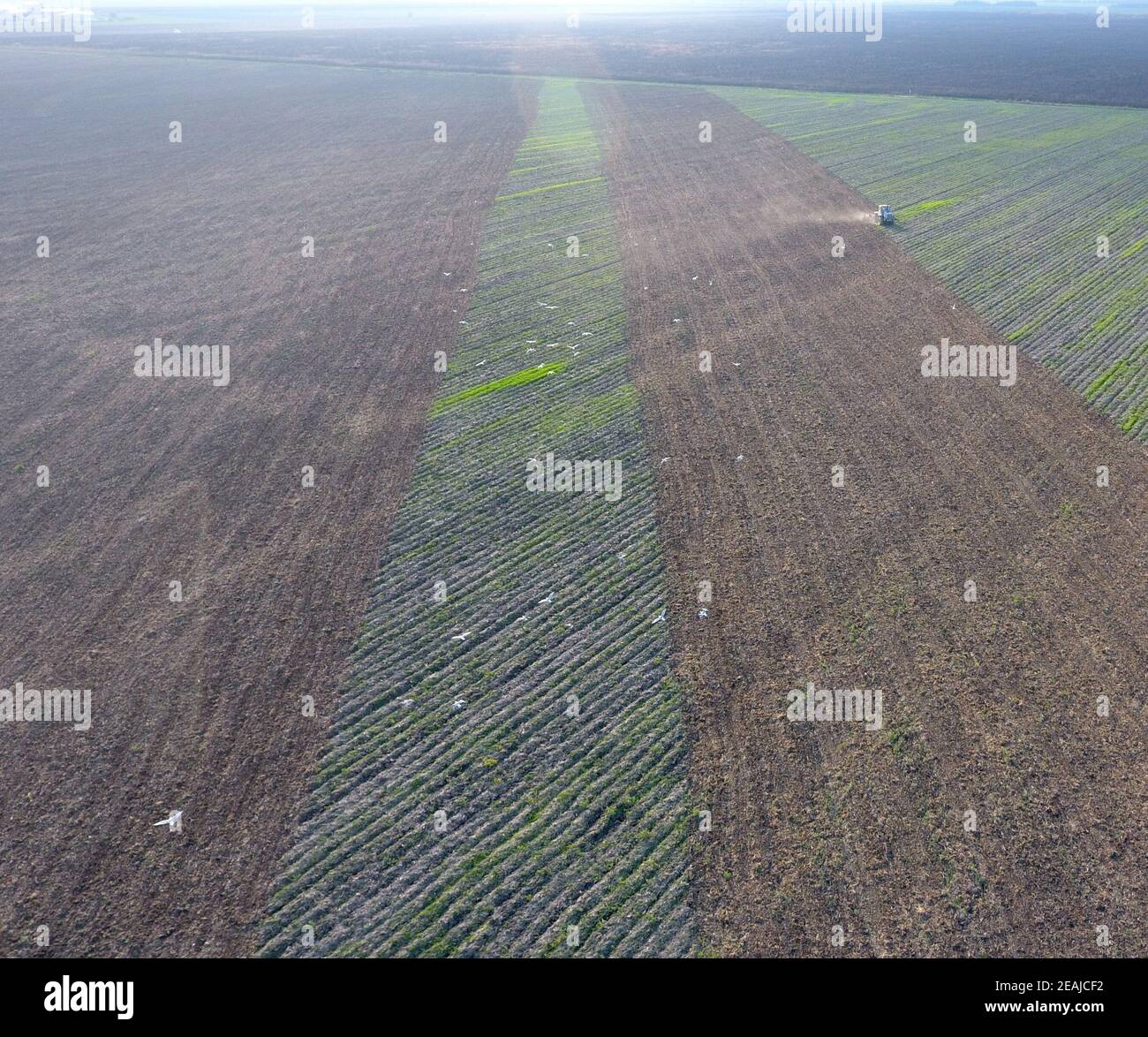 Top view of the tractor that plows the field. disking the soil. Soil ...