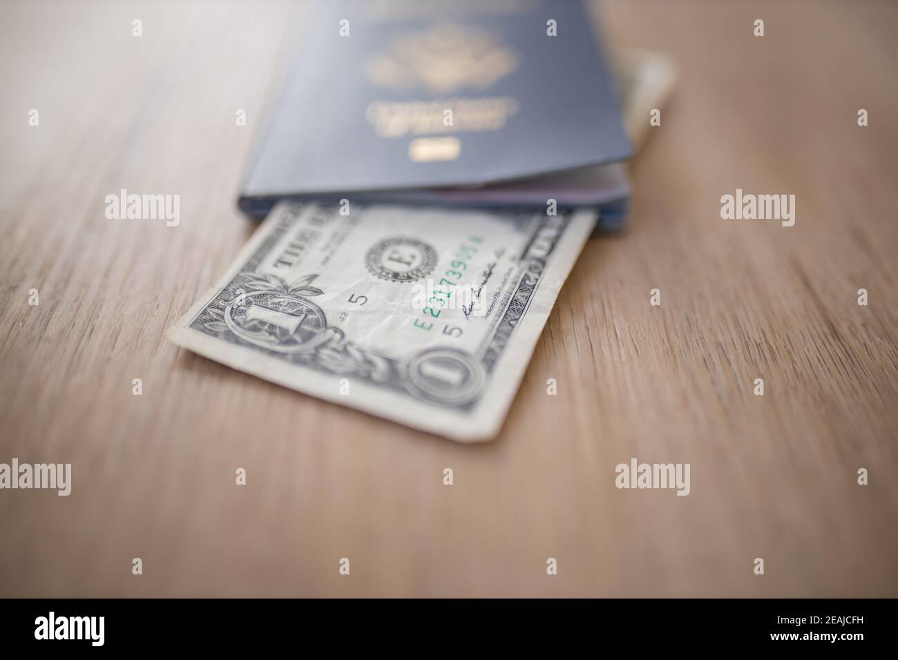 Us Passport Inside