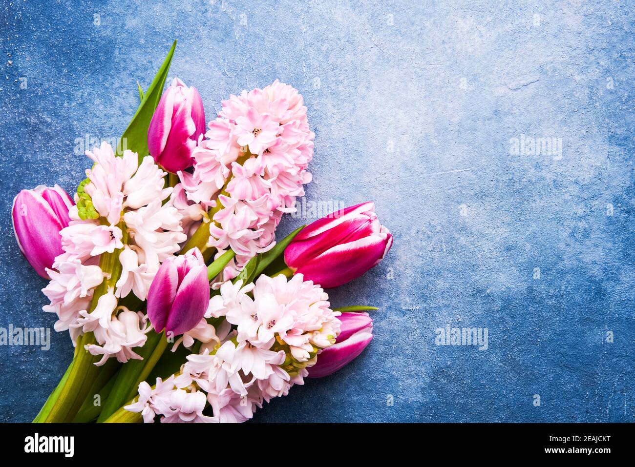 Bright pink tulips and pink hyacinths flowers bouquet on a bright blue ...