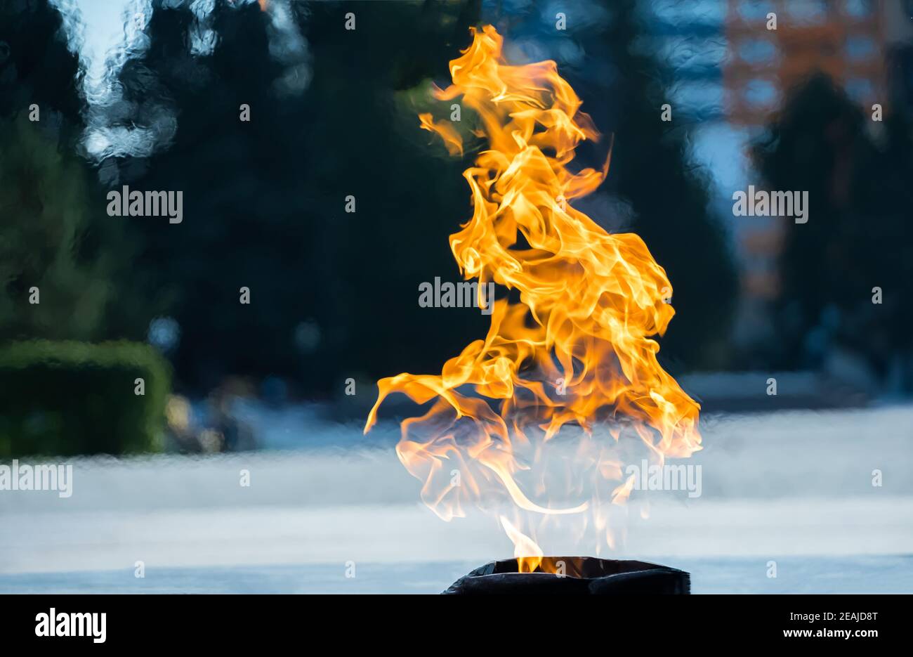 Close-up of the fire. Burning gas or gasoline burns with fire and ...