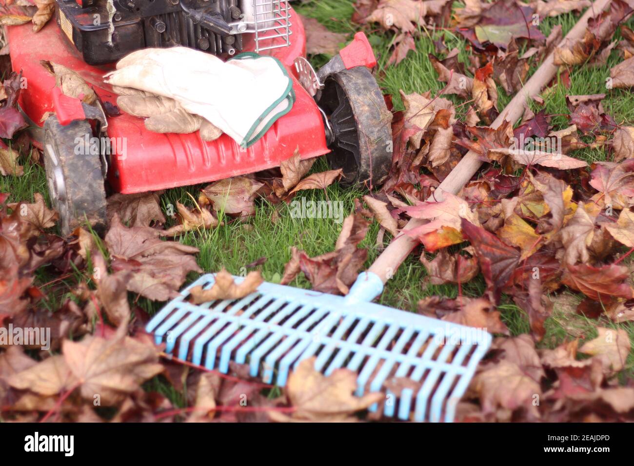 Collecting leaves hi-res stock photography and images - Alamy