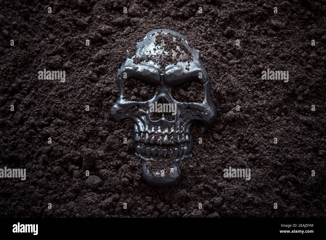 Creepy human skull in black soil Stock Photo - Alamy