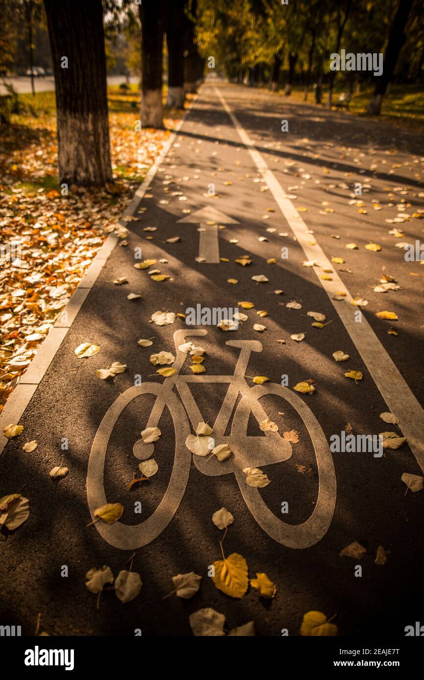 Bicycle lane symbol in a park Stock Photo - Alamy