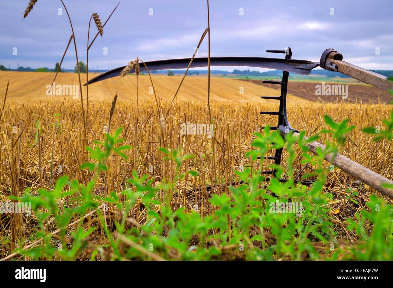 Scythe field hi-res stock photography and images - Alamy