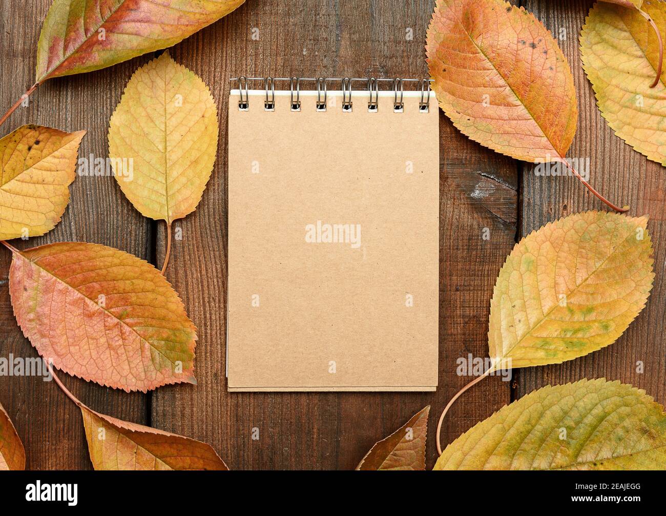 open notebook with blank brown sheets and yellow cherry leaves Stock ...